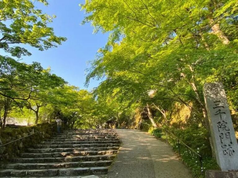 Kyoto/Osaka: Sanzenin, Bamboo Forest, & Arashiyama Day Trip | The ...