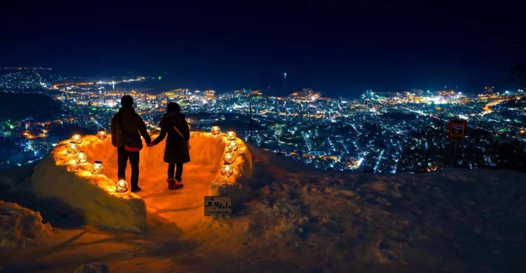 Otaru Aquarium, Ropeway, Cinematic Bus Tour From Sapporo | The Abroad Guide