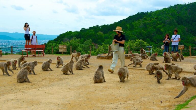 Private Tour to Monkey Park and Arashiyama Highlights | The Abroad Guide