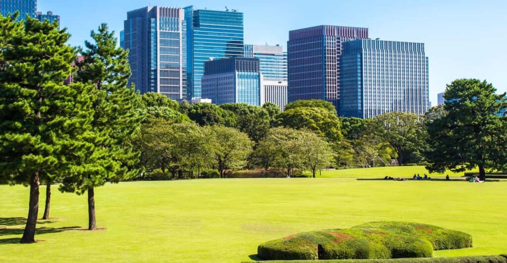 Best of Tokyo Small Group Tour | The Abroad Guide