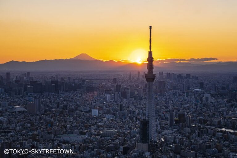 Tokyo: 1 Day Bus Tour With Meiji-Jingu,Odaiba,Lunch&Skytree | The ...