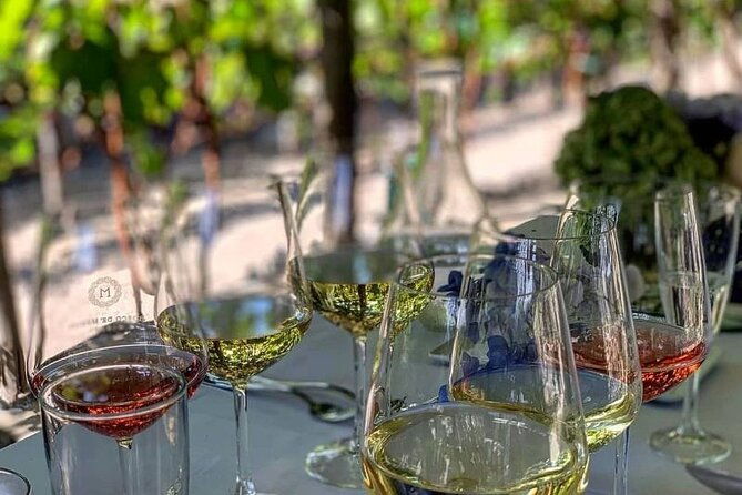 Wine Tasting Including Lunch | The Abroad Guide