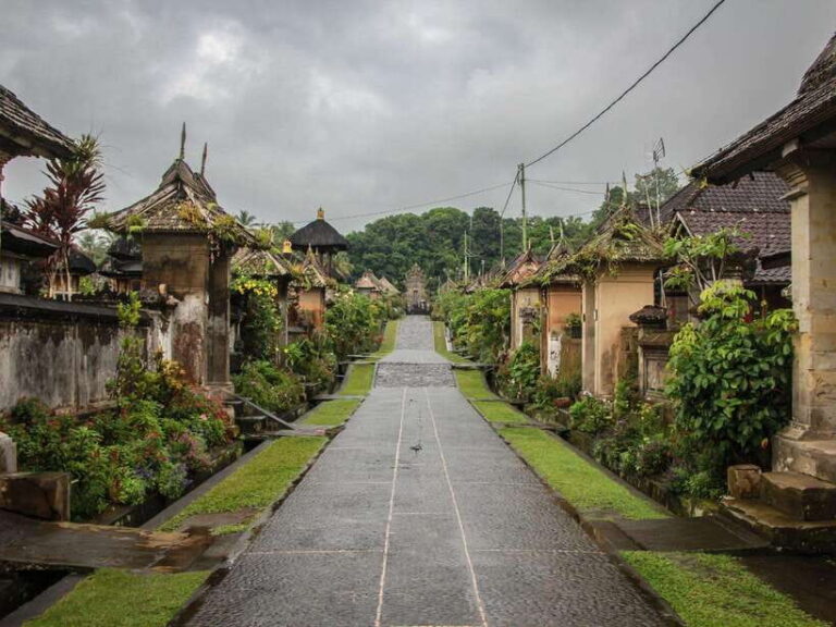Bali: Professional Photoshoot at Pengelipuran Bamboo Forest. | The ...