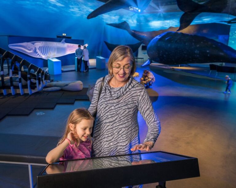 Reykjavik: Whale Watching Tour, Whales of Iceland Exhibition | The ...