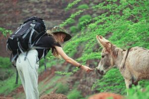 Santiago Island: 4-Hour Calabaceira Valley Hike & Guided Tour to Cidade ...