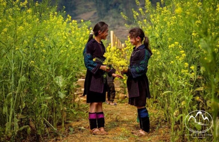 From Hanoi: SAPA 2 DAYS 2 NIGHTS & FANSIPAN MOUNTAIN PEAK | The Abroad ...