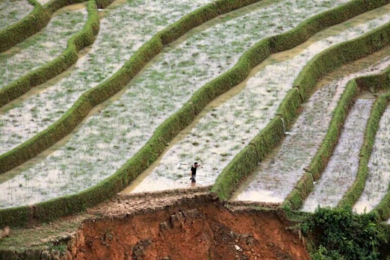 Hanoi: 3-Day Adventure Rice Terraces and Fansipan Summit | The Abroad Guide