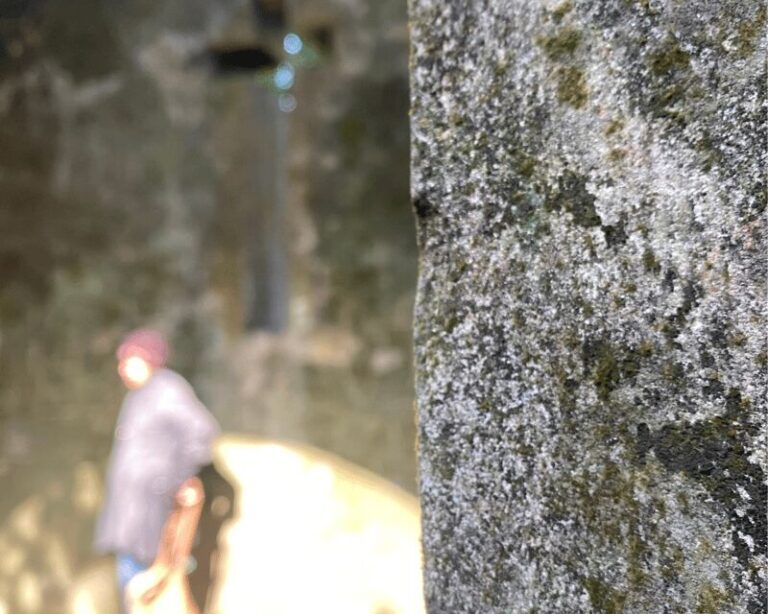 Hanoi Eco Tour: Ba Vi National Park Wonders & Tea Plantation | The ...