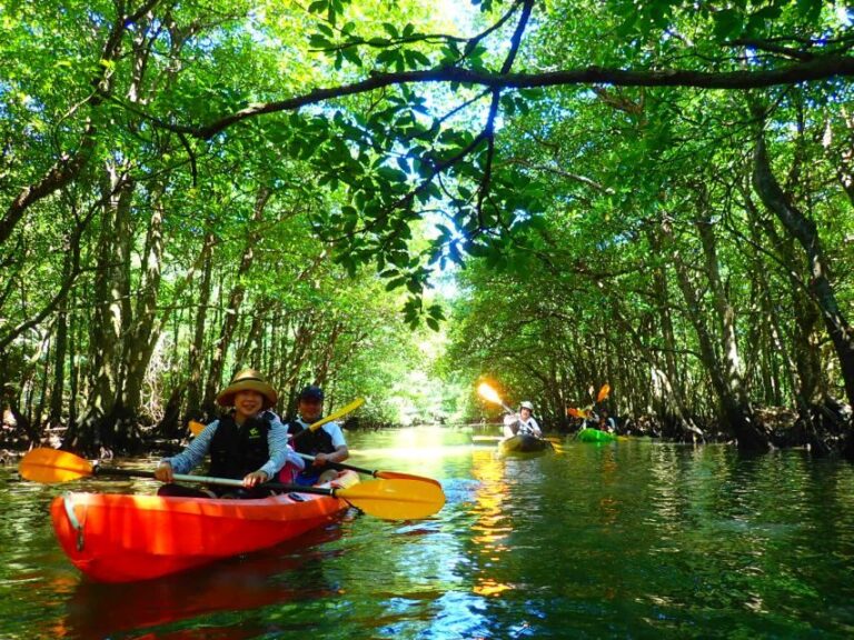 Iriomote Island: SUP or Canoeing and Canyoning Tour | The Abroad Guide