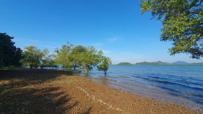 Koh Lanta Cultural Tuk-Tuk Tour: Old Town, Batik & Mangroves | The ...