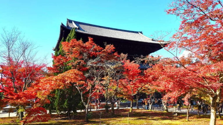 Kyoto: Guided Cycling Tour along Higashiyama's Waterfront | The Abroad ...