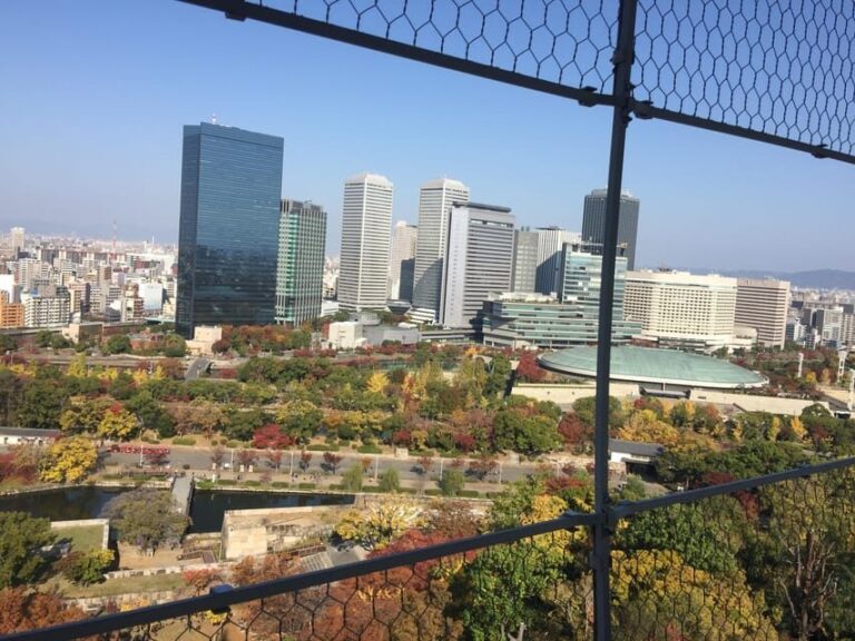 Osaka: Private Guided Day Tour of the Castle and Surroundings | The ...