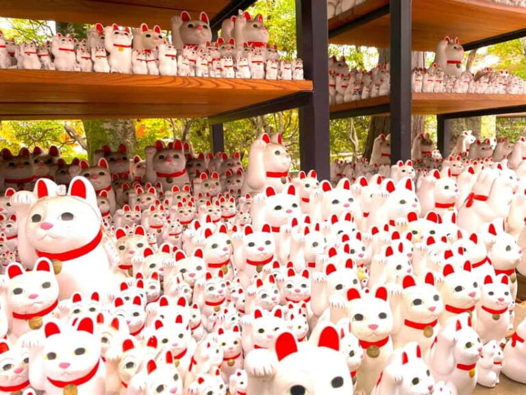 Tokyo: Gotokuji Lucky Cat Temple & Harajuku Shibuya Cat Café | The ...