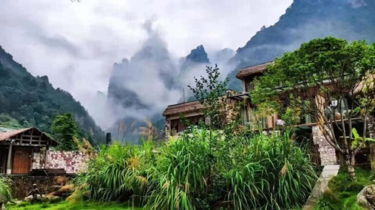 Zhangjiajie: Avatar Canyon Hike & Waterfall Tour | The Abroad Guide