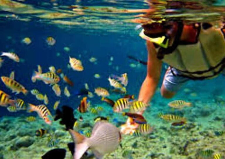 Bohol Island Hopping Tour | The Abroad Guide