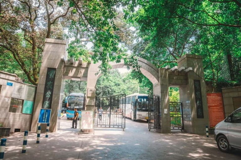 Chongqing ELing Hill 3.5-Hour City Walk | The Abroad Guide