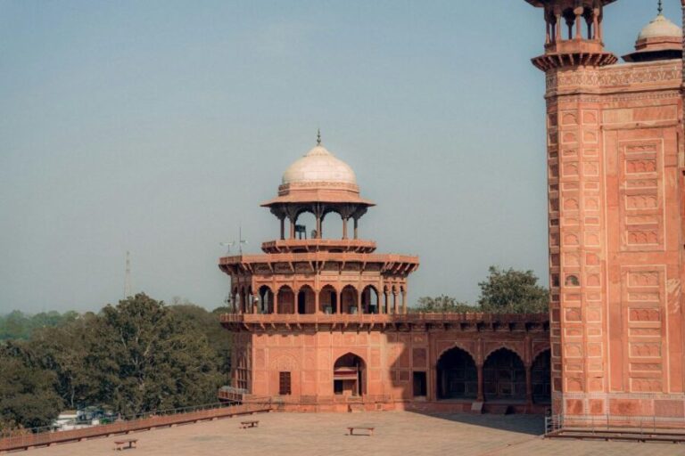 From Delhi: Taj Mahal & Elephant Rescue Day Trip with Guide | The ...