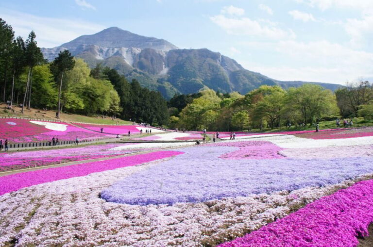 From Tokyo: Seibu Railway 1 Day Pass and Nagatoro | The Abroad Guide