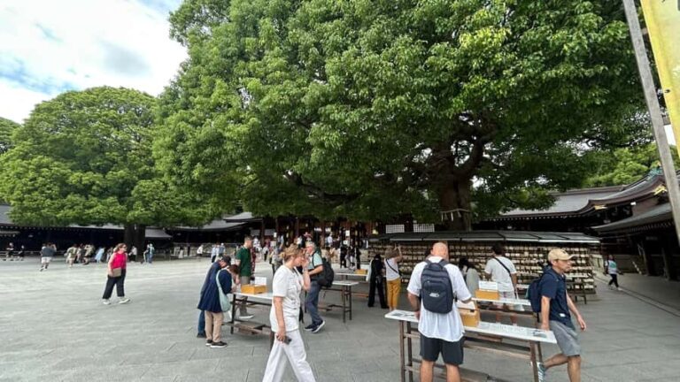 Tokyo: Private City Tour with Spanish-Speaking Guide | The Abroad Guide