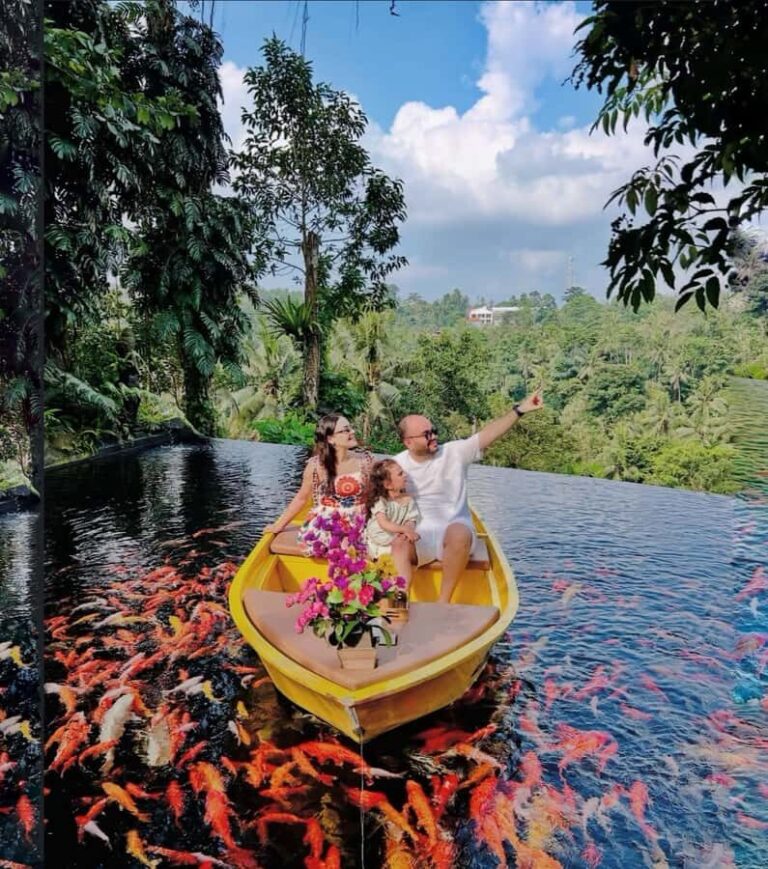 Ubud: Koi fish Photoshoot, Monkey Forest & infinity pool | The Abroad Guide